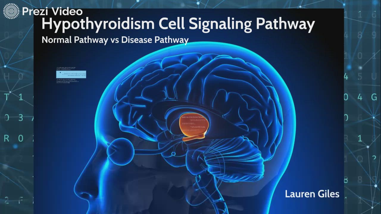 Hypothyroidism Cell Signaling Pathway by Lauren Giles on Prezi Video
