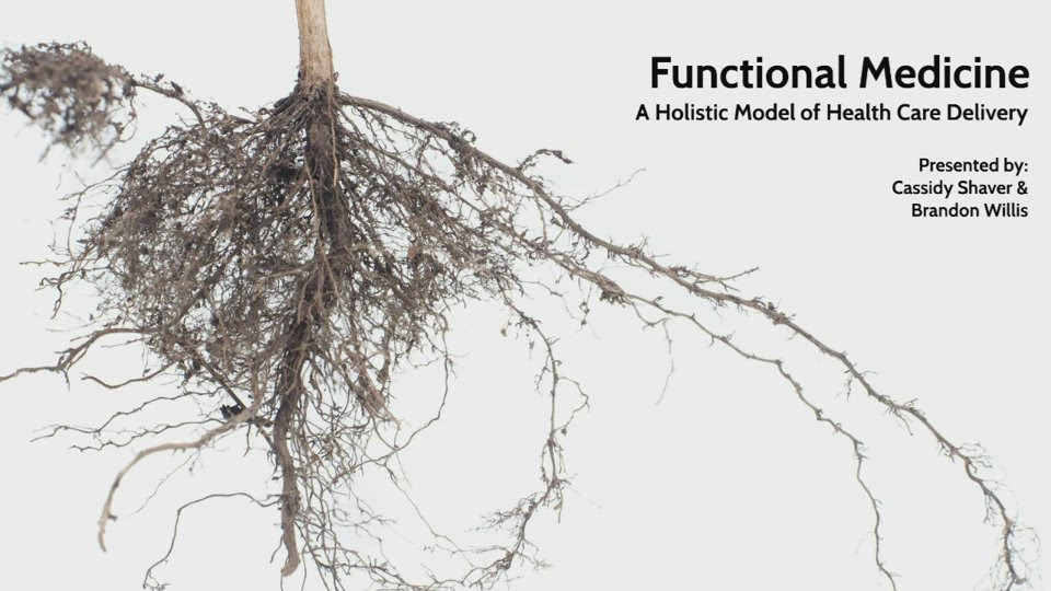 Functional Medicine Model v2 by Brandon Willis on Prezi Video