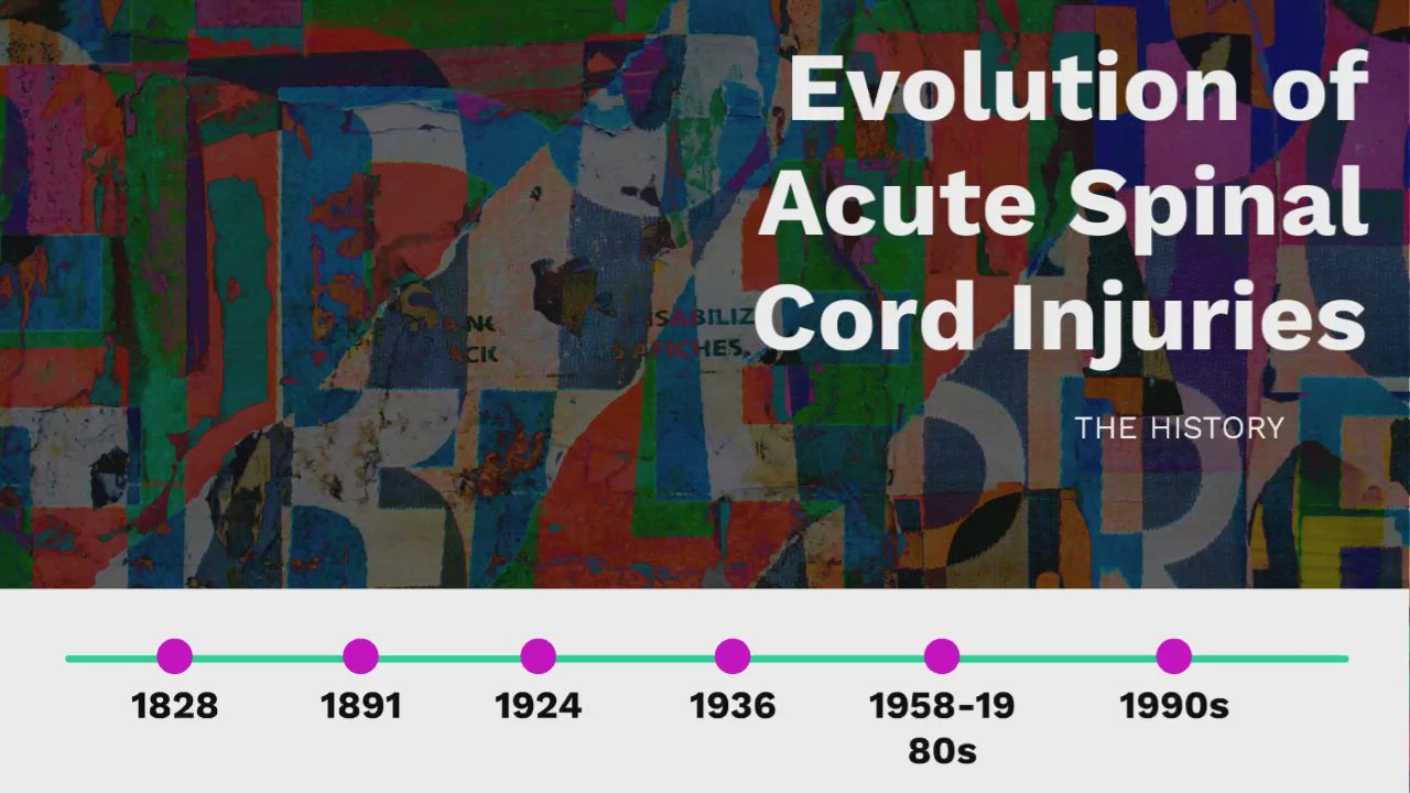 Evolution of Acute Spinal Cord Injuries by Ben Bryden on Prezi Video