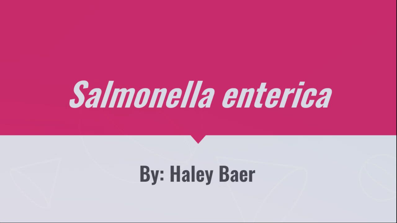 Salmonella enterica by Haley Baer on Prezi Video