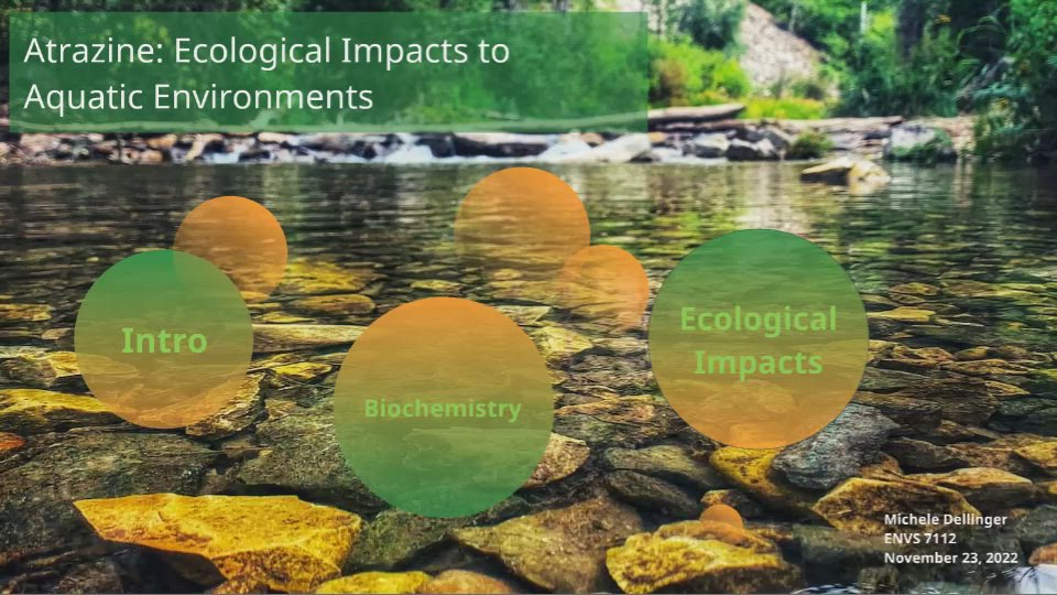 Atrazine: Ecological Impacts to Aquatic Environments by Michele ...