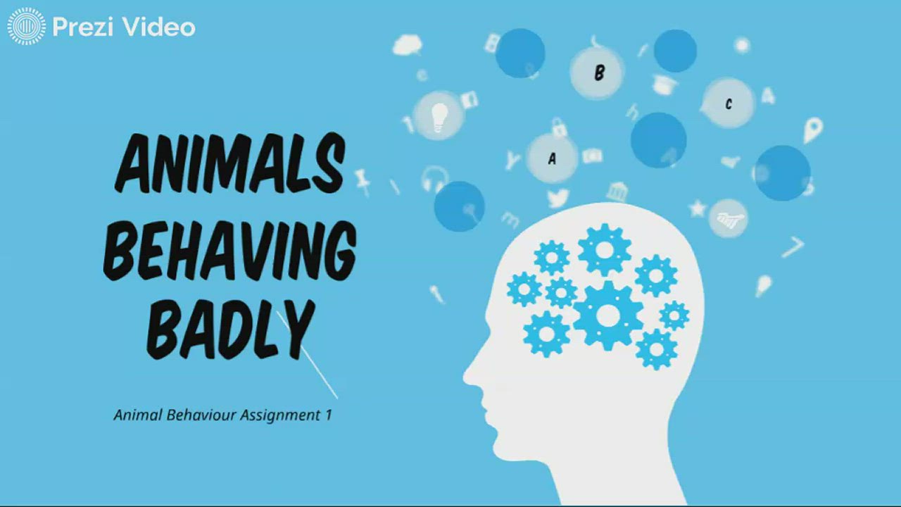Animals Behaving Badly by Danyal Richardson on Prezi Video