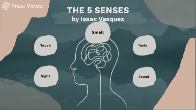 5 senses project by Isaac Vasquez on Prezi Video