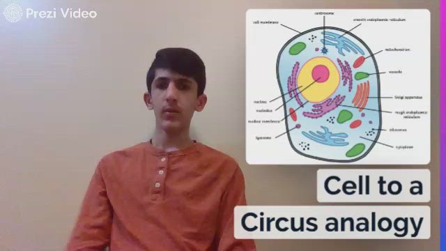 Cell to a Circus project by David Nahra on Prezi Video