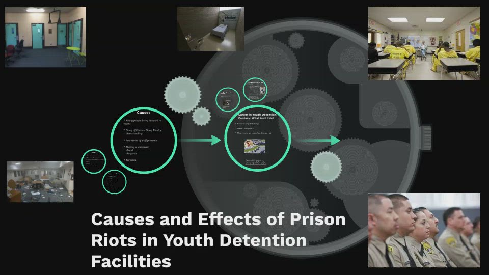 causes and effects of prison riots by chantel Fleming on Prezi Video