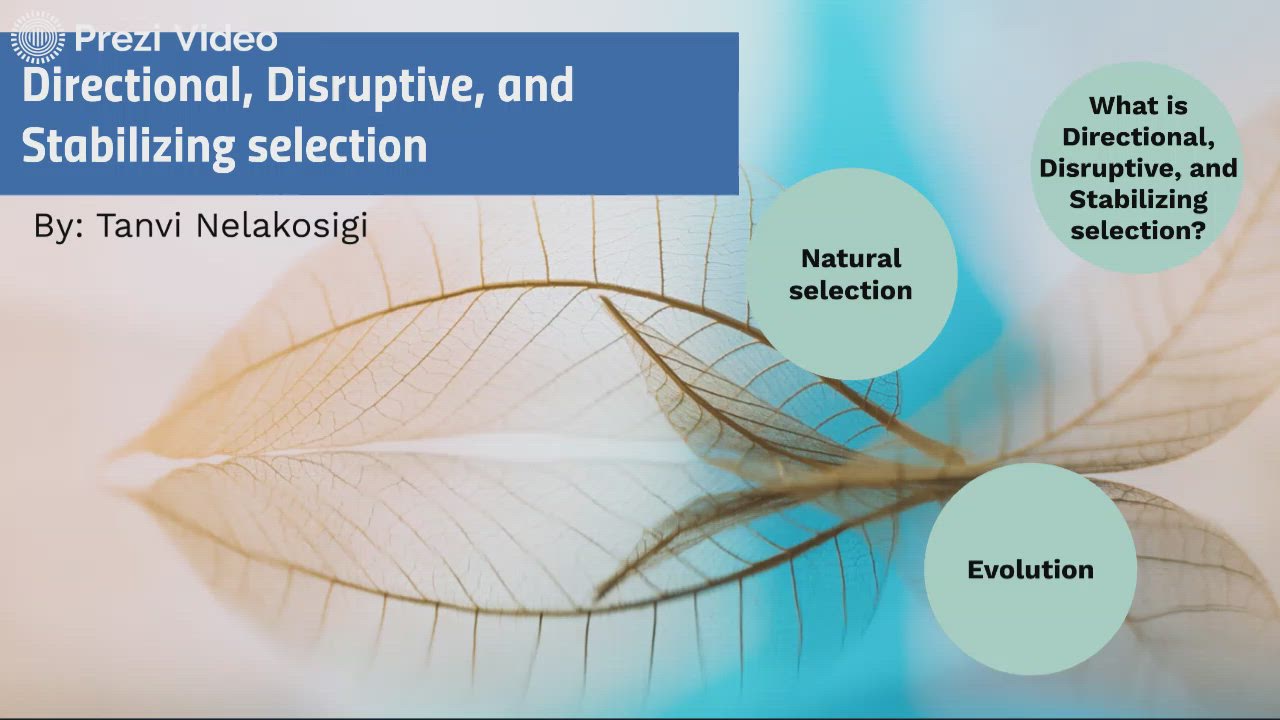 Directional, Disruptive, and Stabilizing selection by Tanvi Nelakosigi ...