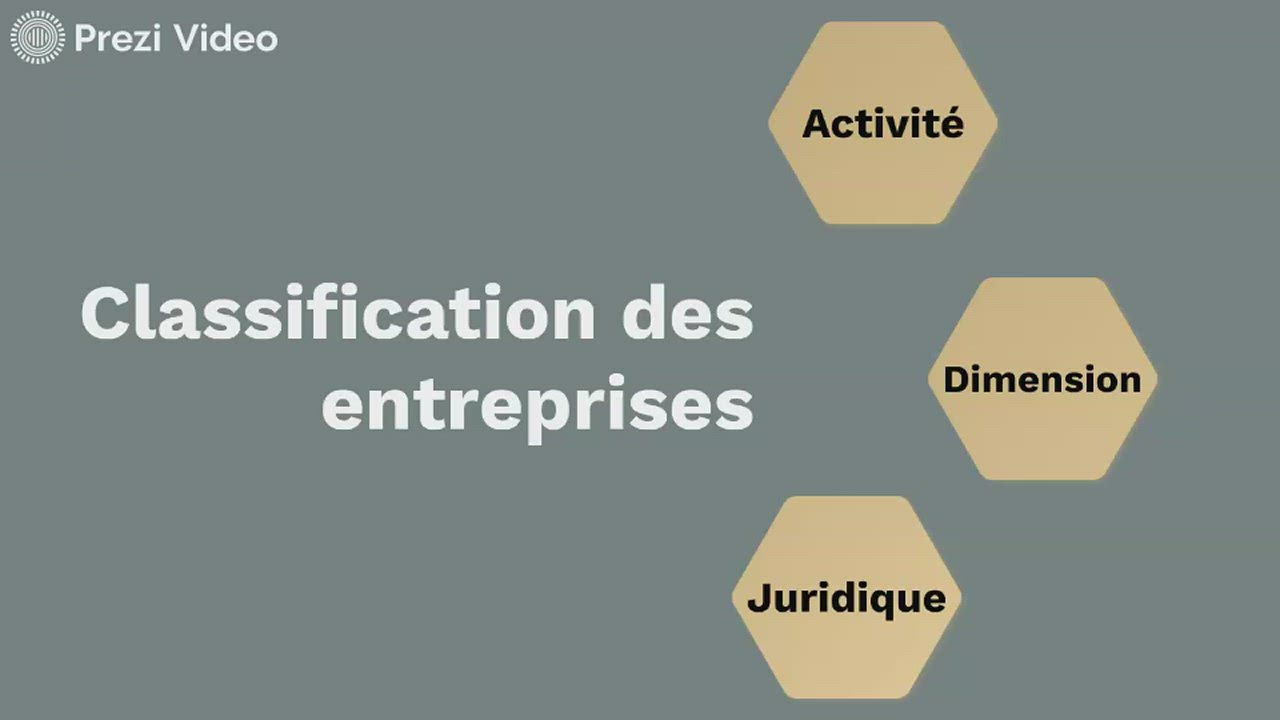 Classification des entreprises by INASS SAIDNI on Prezi Video