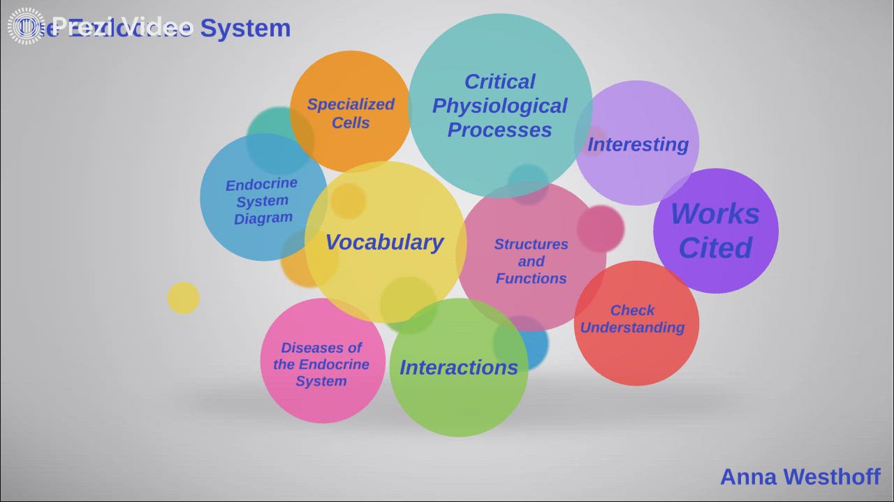 The Endocrine System Part Two by Anna Westhoff on Prezi Video