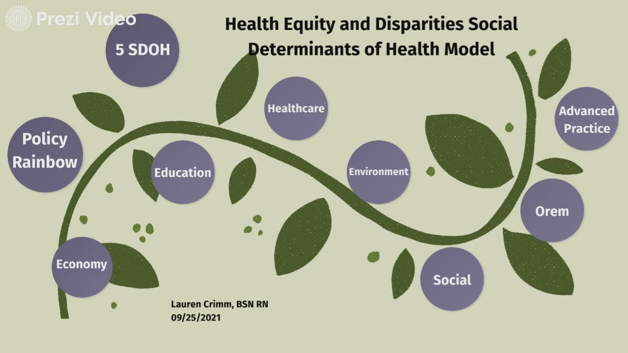 Health Equity and Disparities Social Determinants of Health Model by ...