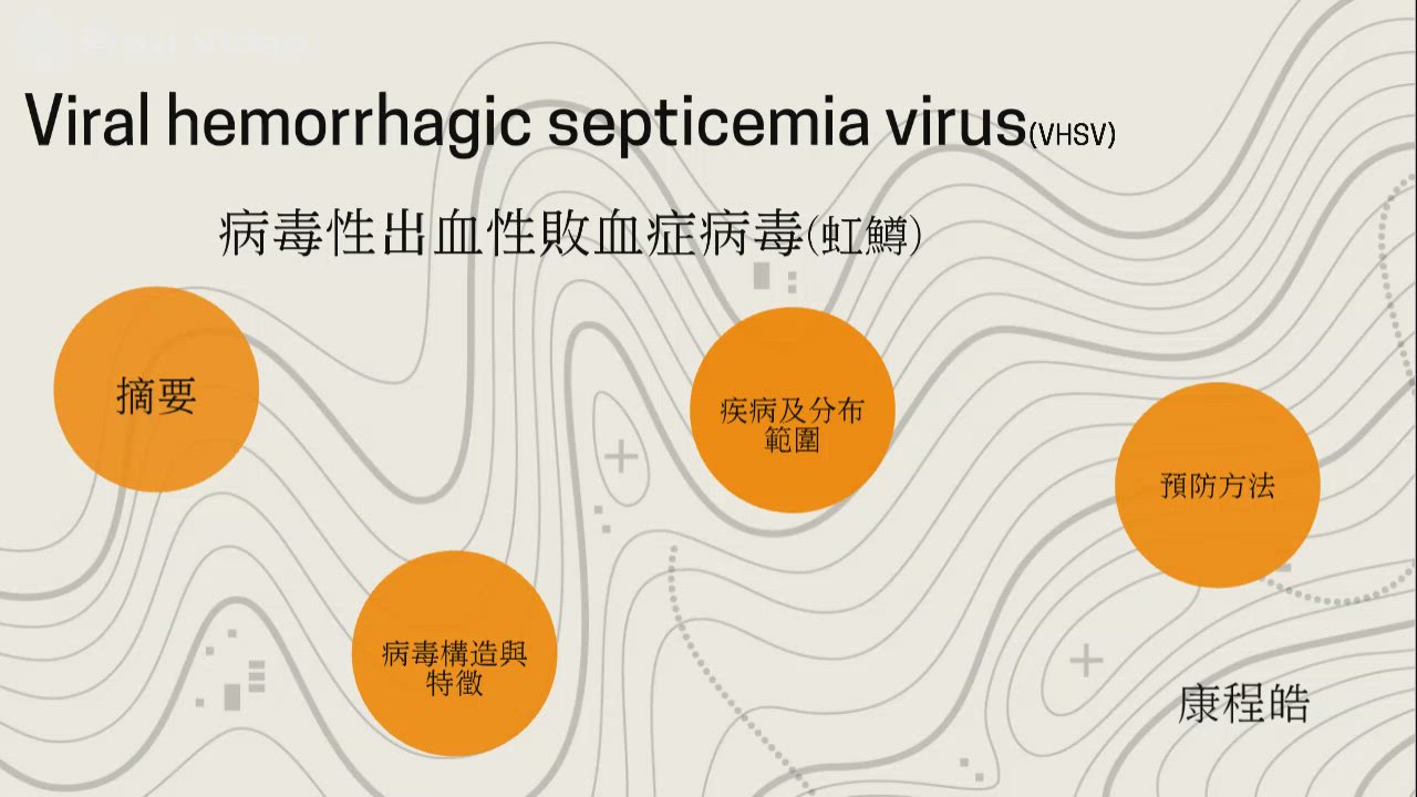 Viral hemorrhagic septicemia virus by 康 程皓 on Prezi Video