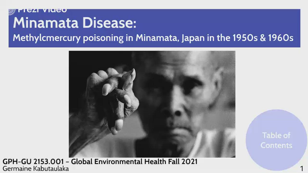 methylmercury poisoning in Minamata, Japan by Germaine K on Prezi Video