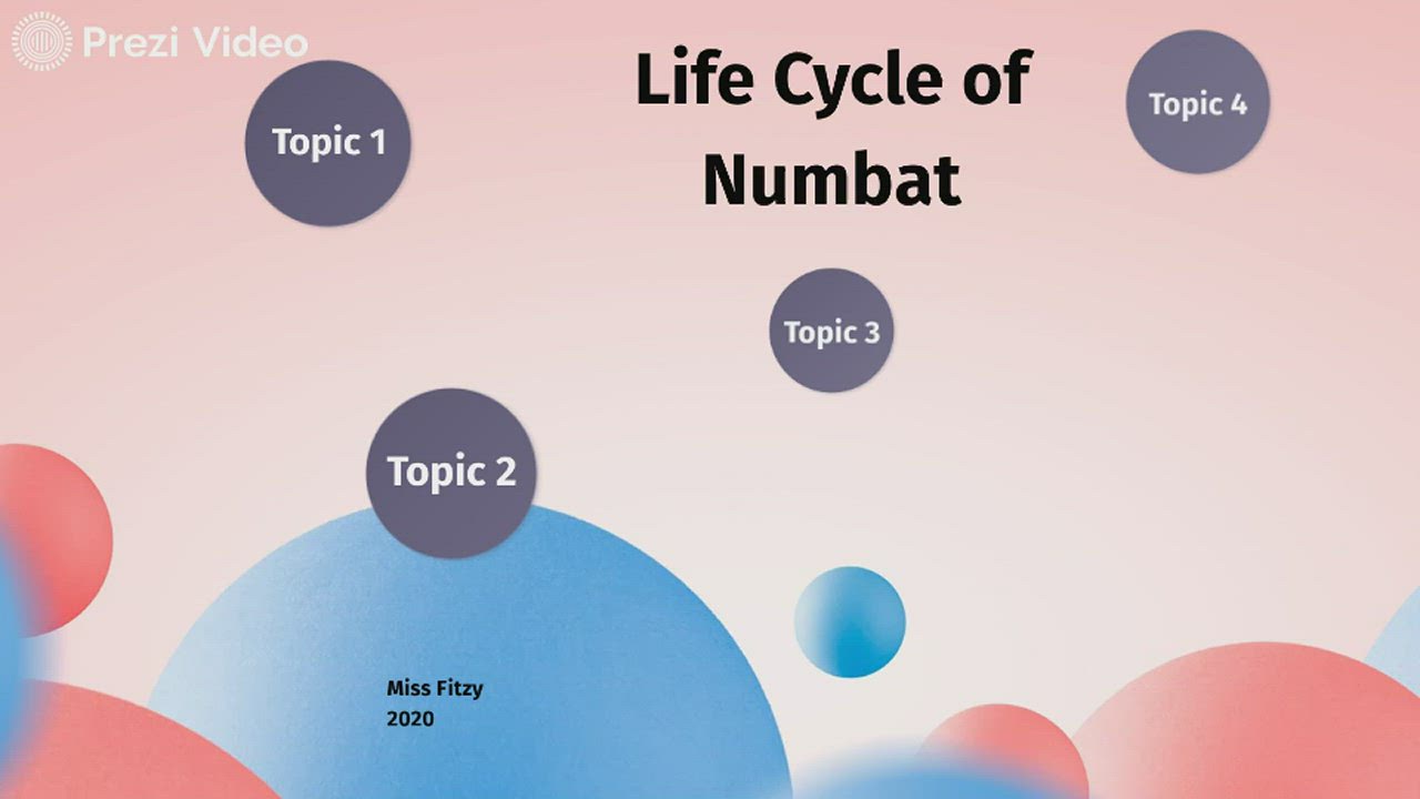 Lifecycle of a Numbat by Kayleigh Fitzgerald on Prezi Video