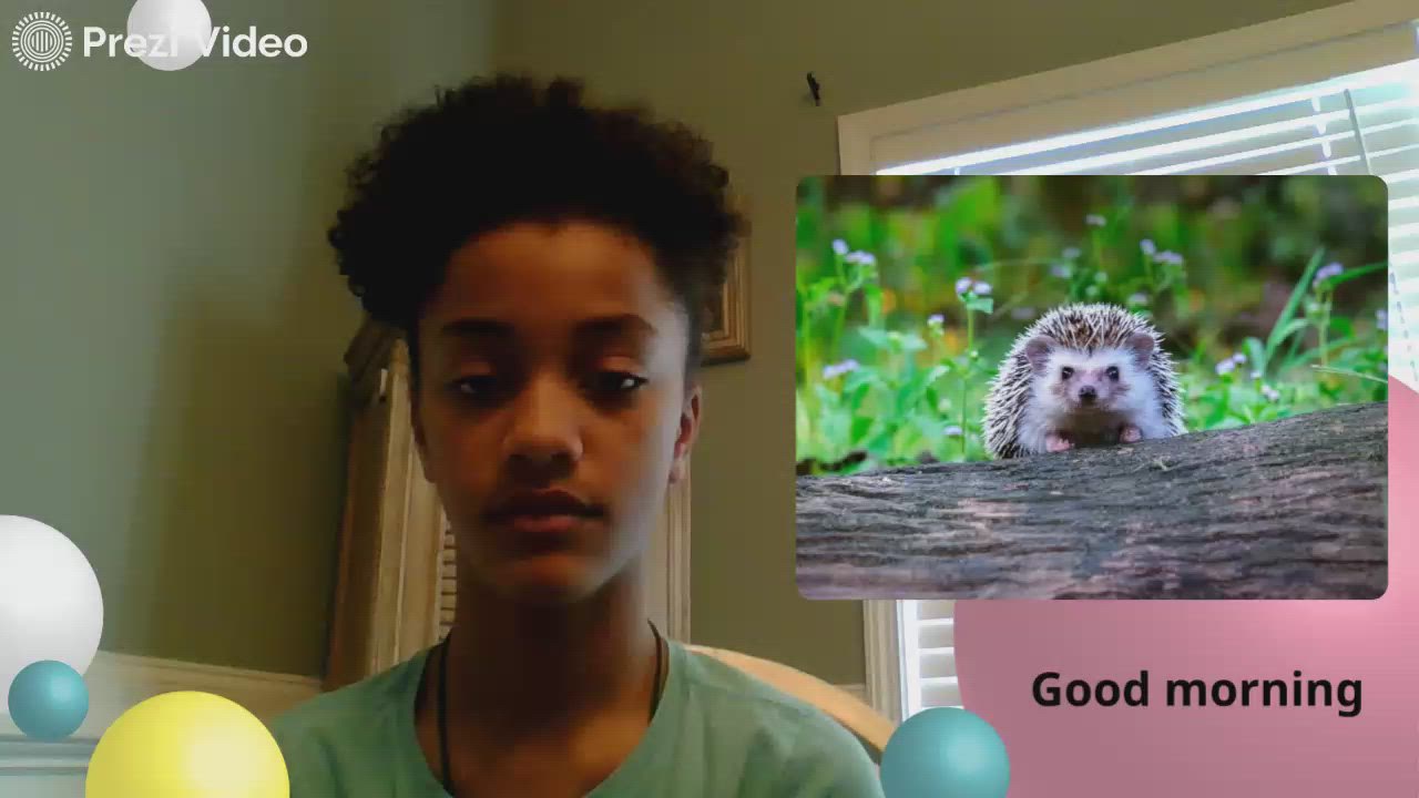 Good morning by Rose Smith on Prezi Video