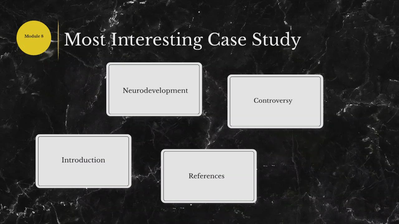 Most Interesting Case Study by Lindsey Novotny on Prezi Video