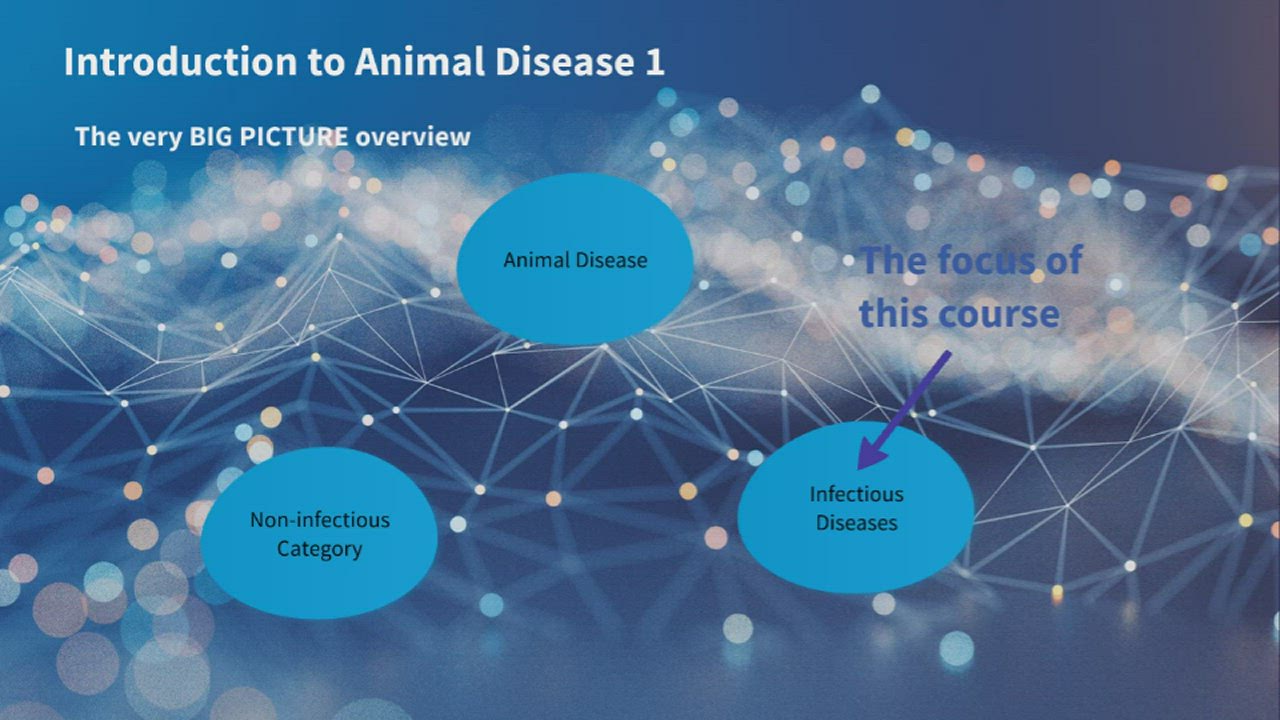 Introduction to Disease- Brief Review by Tanya Hoffman on Prezi Video