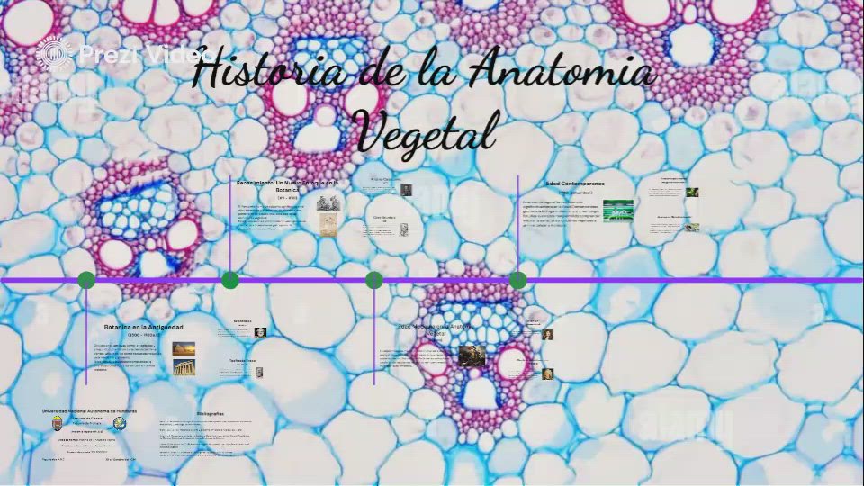 Línea de tiempo de la Historia de la Antomia Vegetal. by Samuel Torres ...