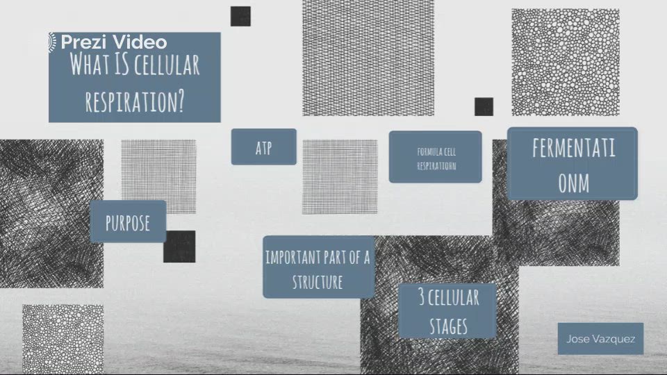 Cellular Respiration Mini Project by Jose Hernandez on Prezi Video