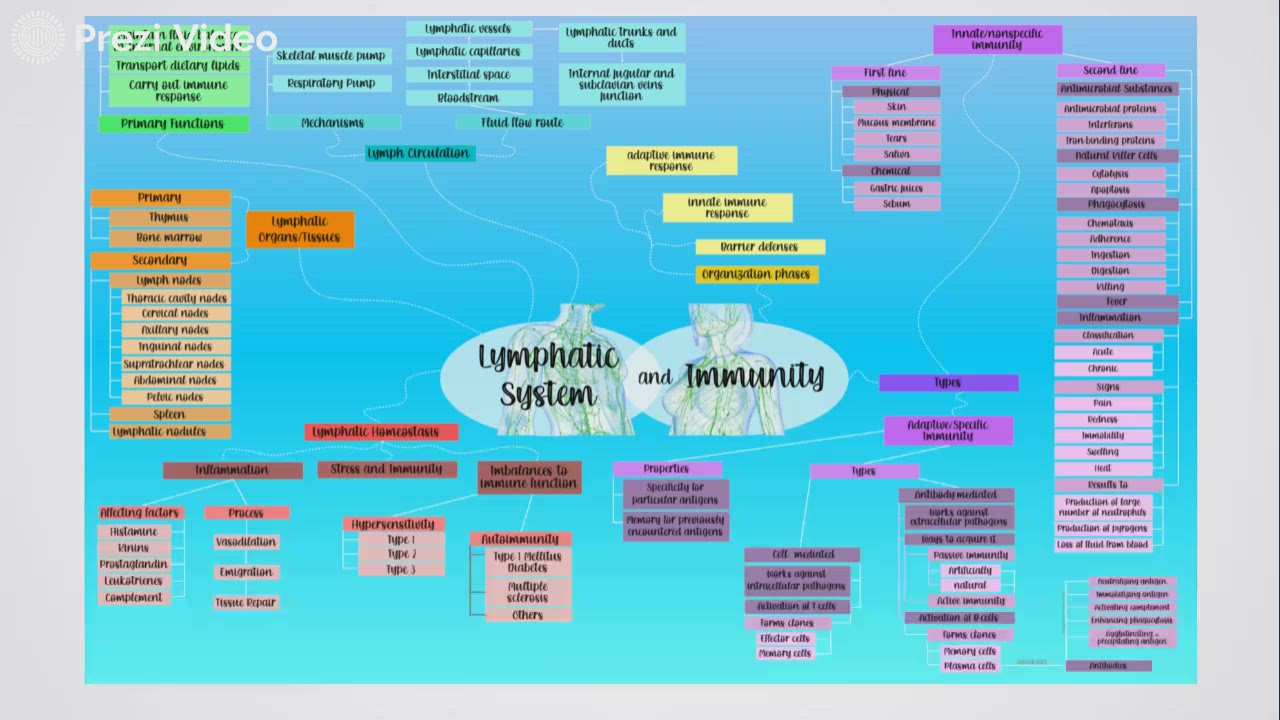 Lymphatic system and Immunity by Ria Grace Ramos on Prezi Video