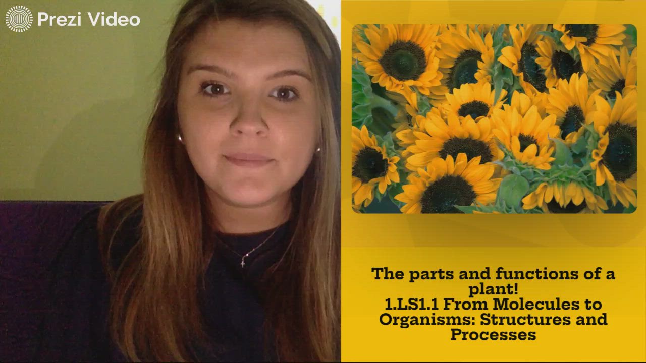 The parts and functions of a plant! 1.LS1.1 From Molecules to Organisms ...