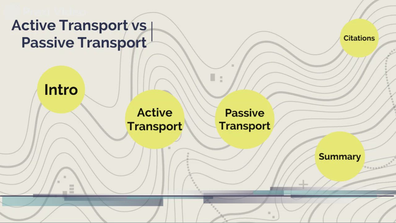 Active Transport vs Passive Transport by Emma Sutton on Prezi Video