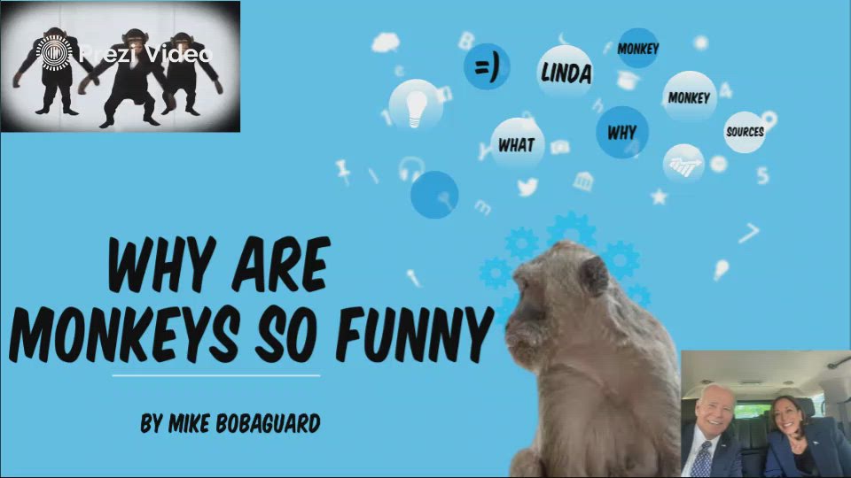why are monkeys so funny? by samuel dozier on Prezi Video