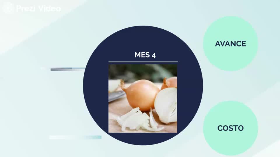 LINEA DE TIEMPO PRODUCCIÓN DE CEBOLLA by Didio Batista on Prezi Video