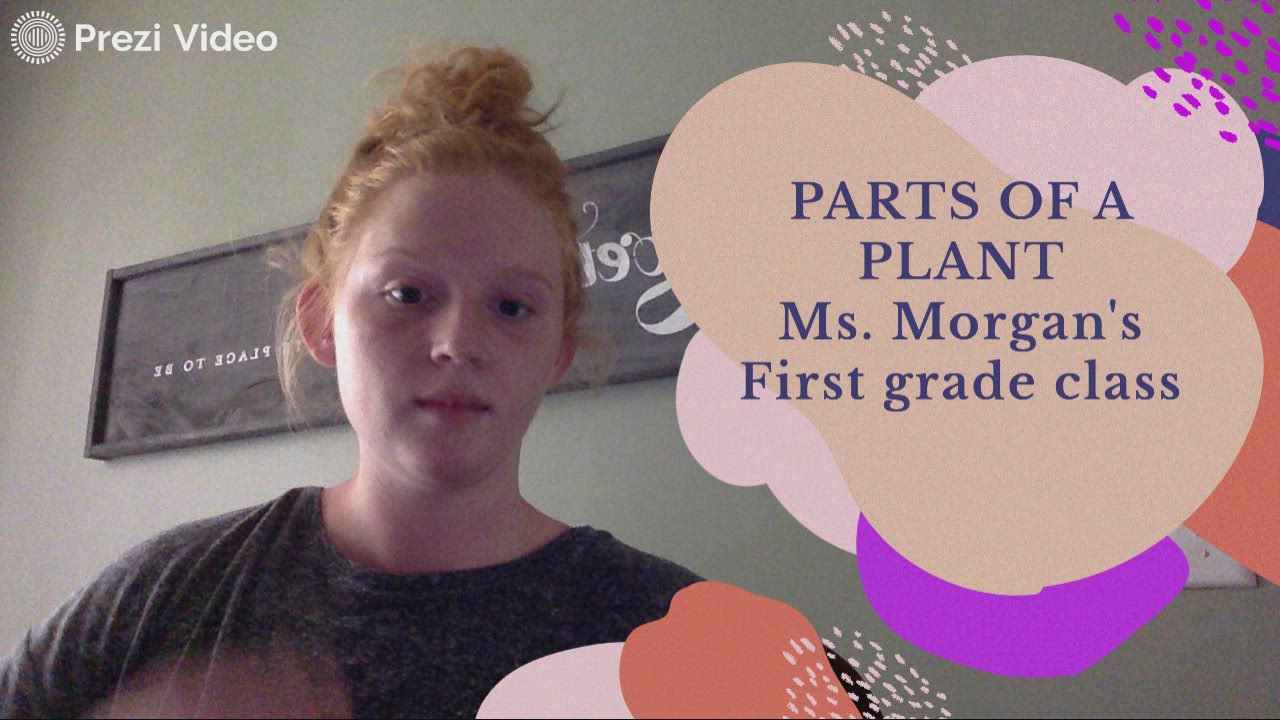 PARTS OF A PLANT Ms. Morgan's First grade class by Morgan Bruce on ...