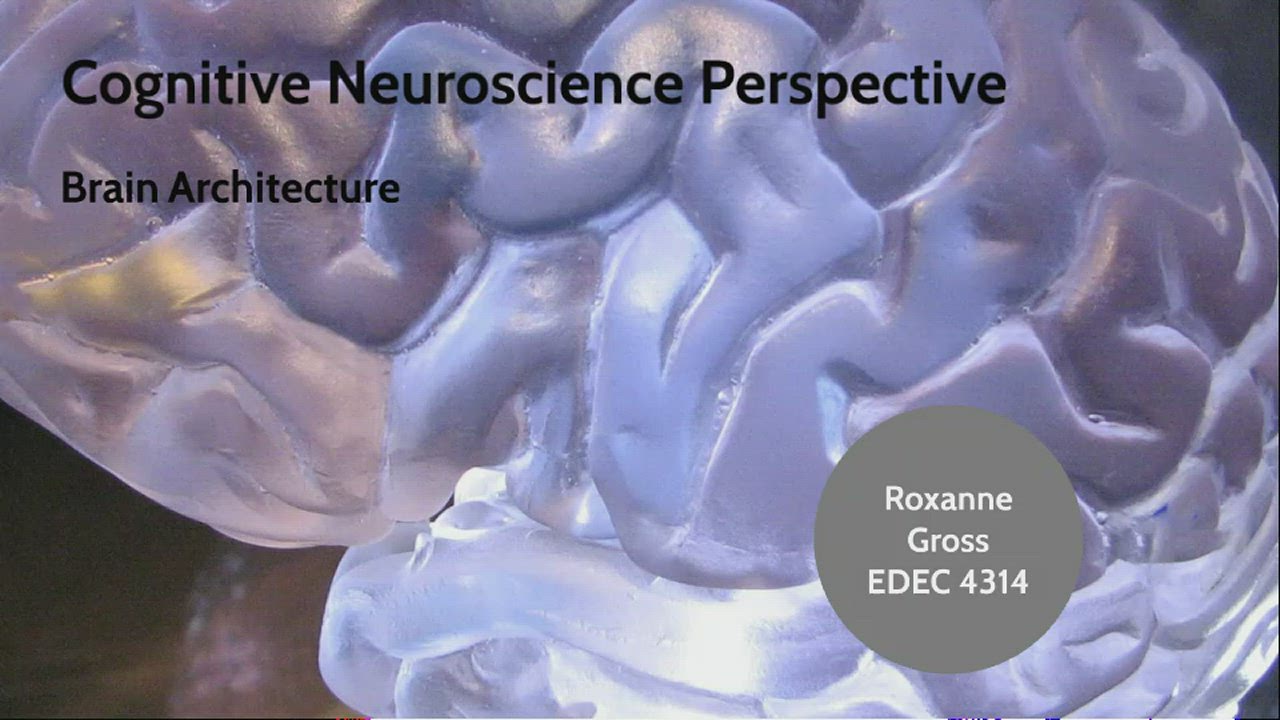 Cognitive Neuroscience Perspective by Roxanne Gross on Prezi Video