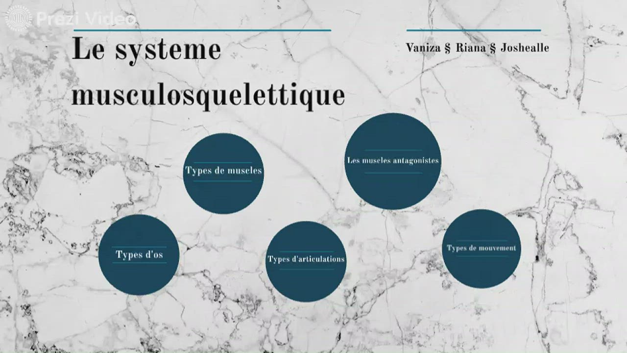 le système musculosquelettique by Vaniza Jamil on Prezi Video