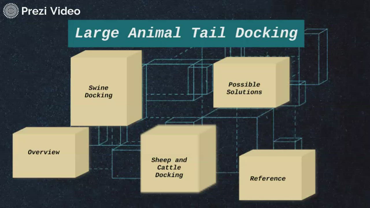 Large Animal Tail Docking part 2 by 鼎涵 任 on Prezi Video
