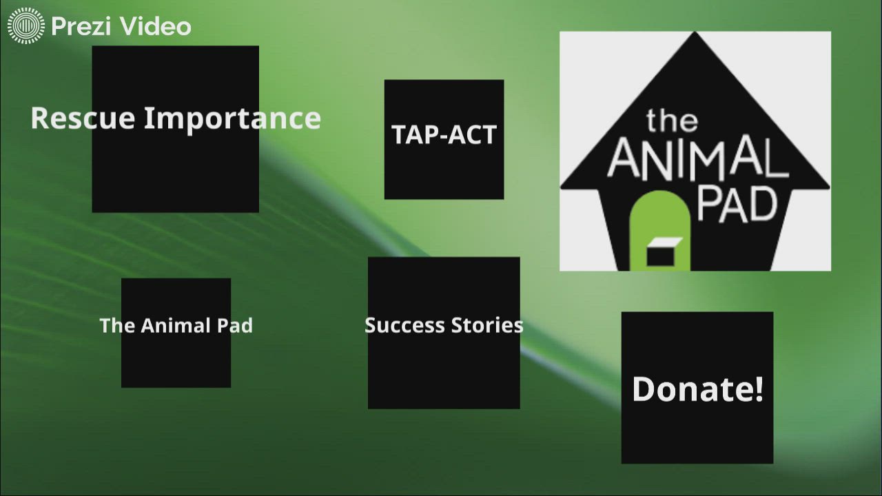 The Animal Pad by Annonymous Unknown on Prezi Video