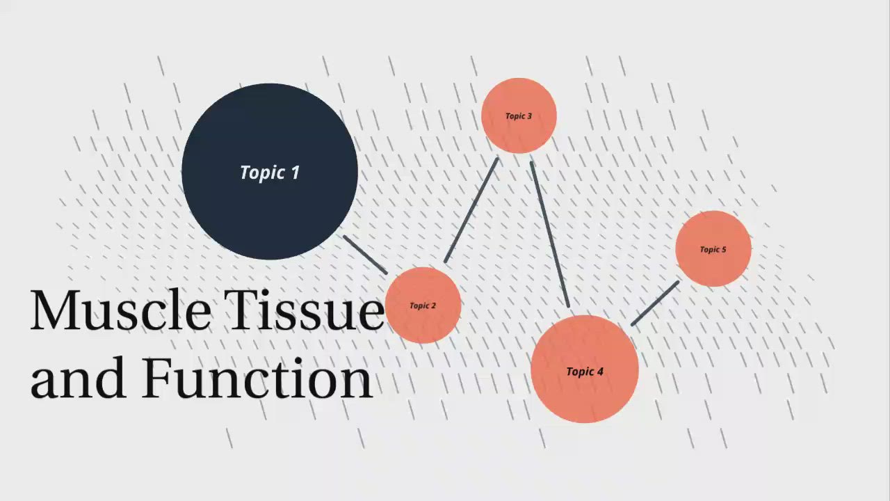 Types Of Muscles And Functions By Emma Luttjohann On Prezi Video Types Of Muscles And Functions By Emma Luttjohann On Prezi Video