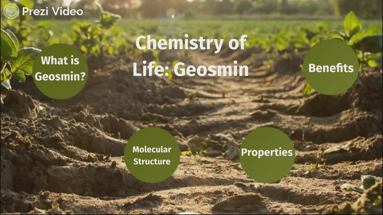 Chemistry of Life: Geosmin by Tatiana Thomas on Prezi Video