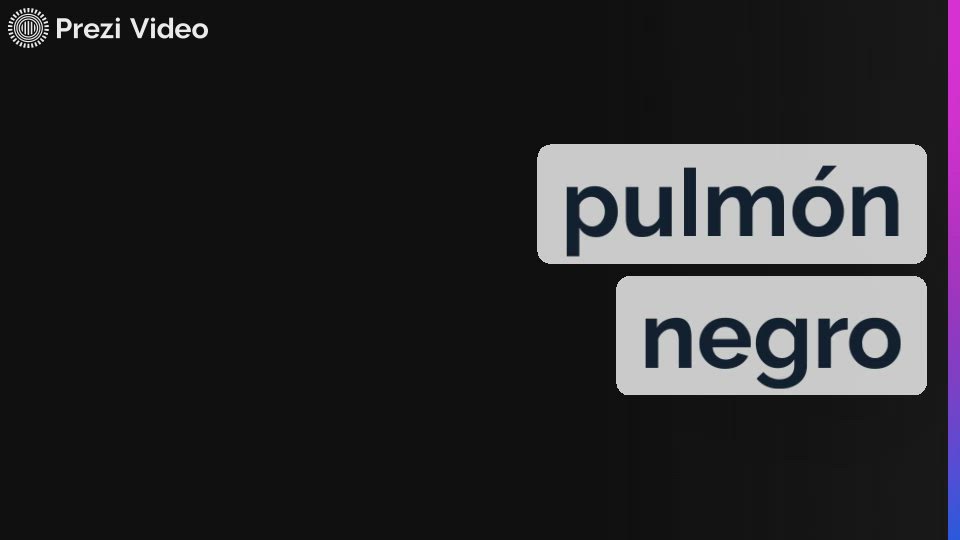 Enfermedad pulmon negro by jassiel rivadeneyra on Prezi Video