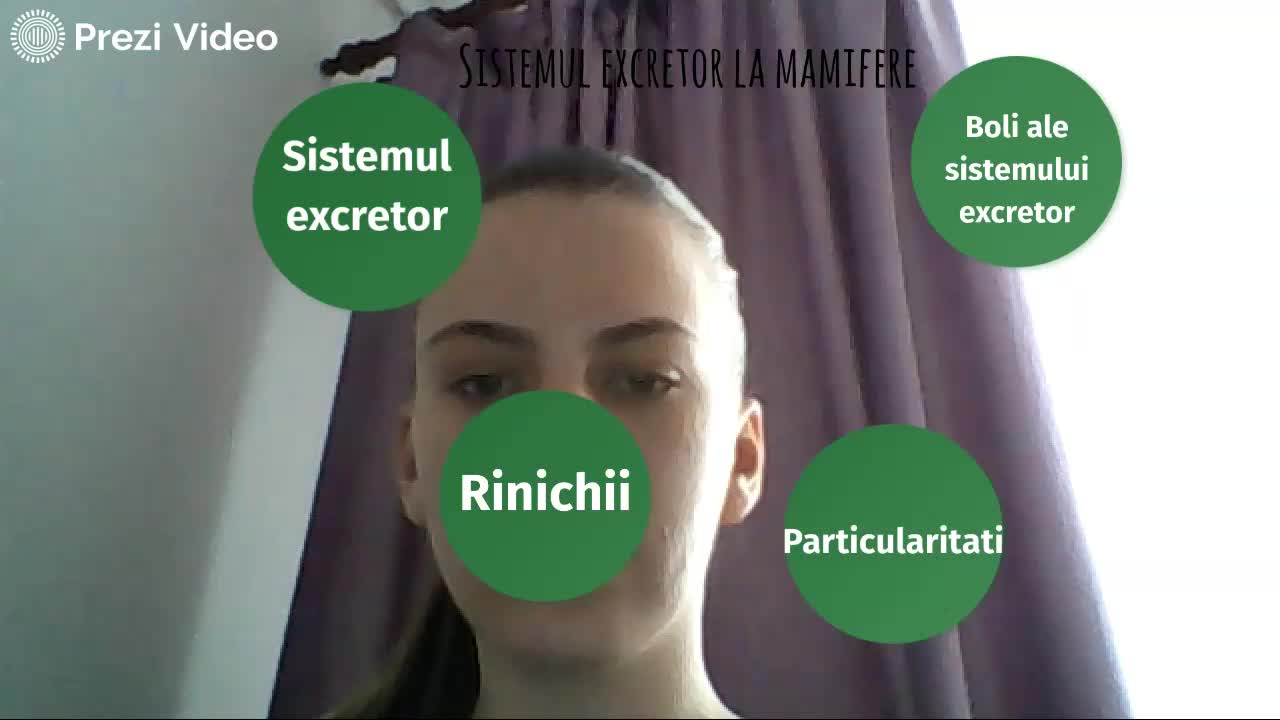 SISTEMUL EXCRETOR LA MAMIFERE by Bianca Paun on Prezi Video