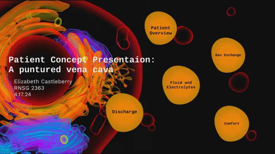 Patient Concept Presentaion: A puntured vena cava by Elizabeth ...